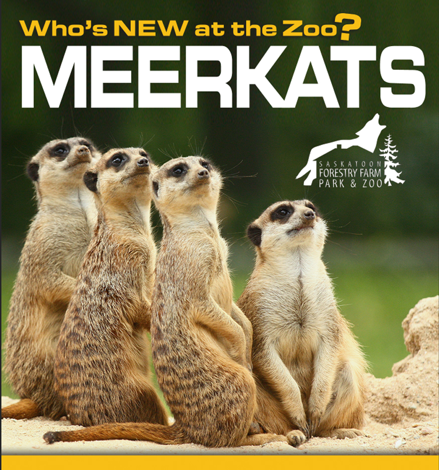 Saskatoon Forestry Farm Park & Zoo | Saskatoon.ca