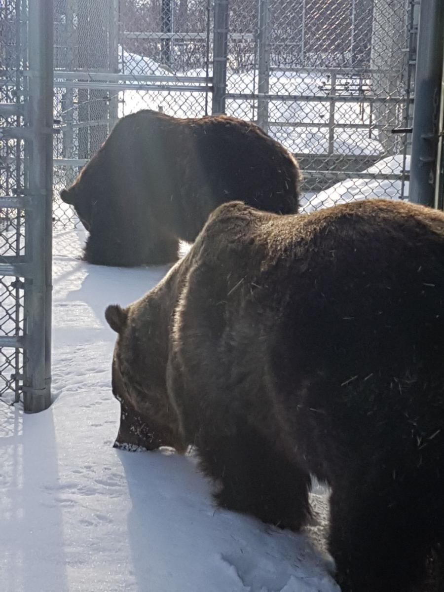 Saskatoon Forestry Farm Park & Zoo | Saskatoon.ca